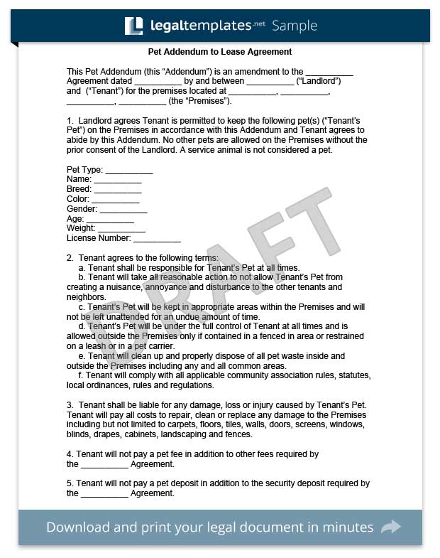 Pet Addendum To A Lease Agreement Legal Templates