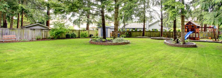 Lawn Care Business Plan Sample Legal Templates