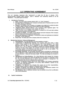Free LLC Operating Agreement Template | PDF & Word